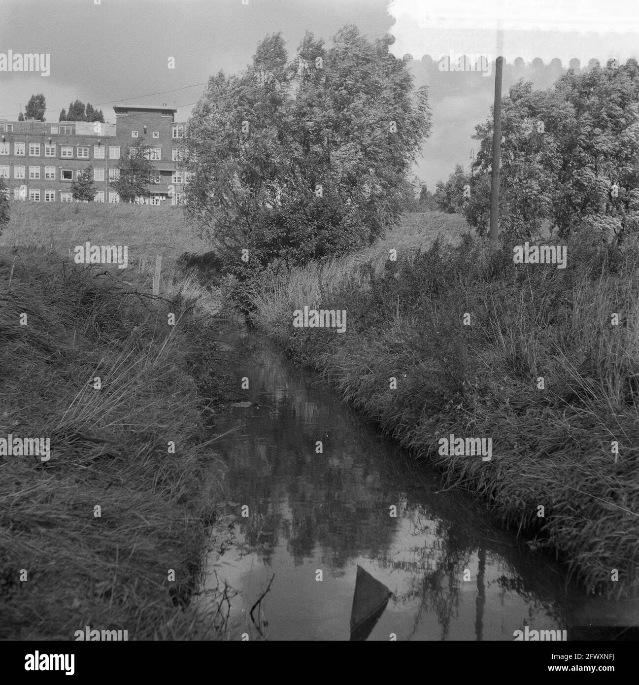 Radioactive frogs hi-res stock photography and images - Alamy