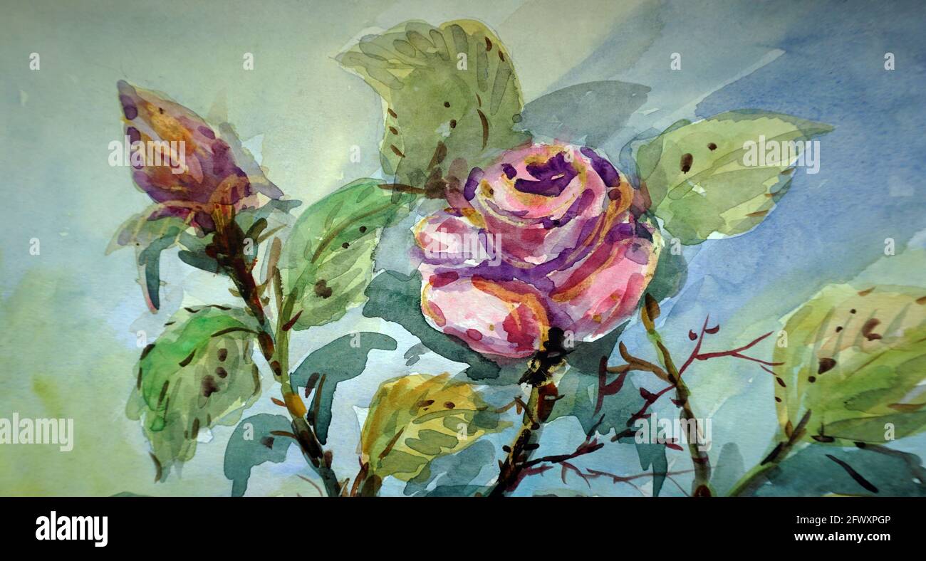 Art, watercolor ,painting , rose flower , abstract , design ...