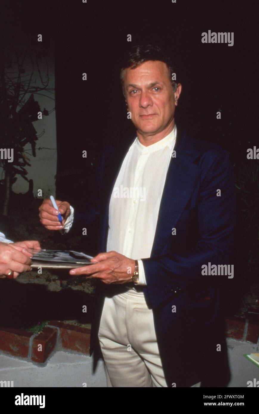 Tony Curtis 1985 Credit: Ralph Dominguez/MediaPunch Stock Photo - Alamy