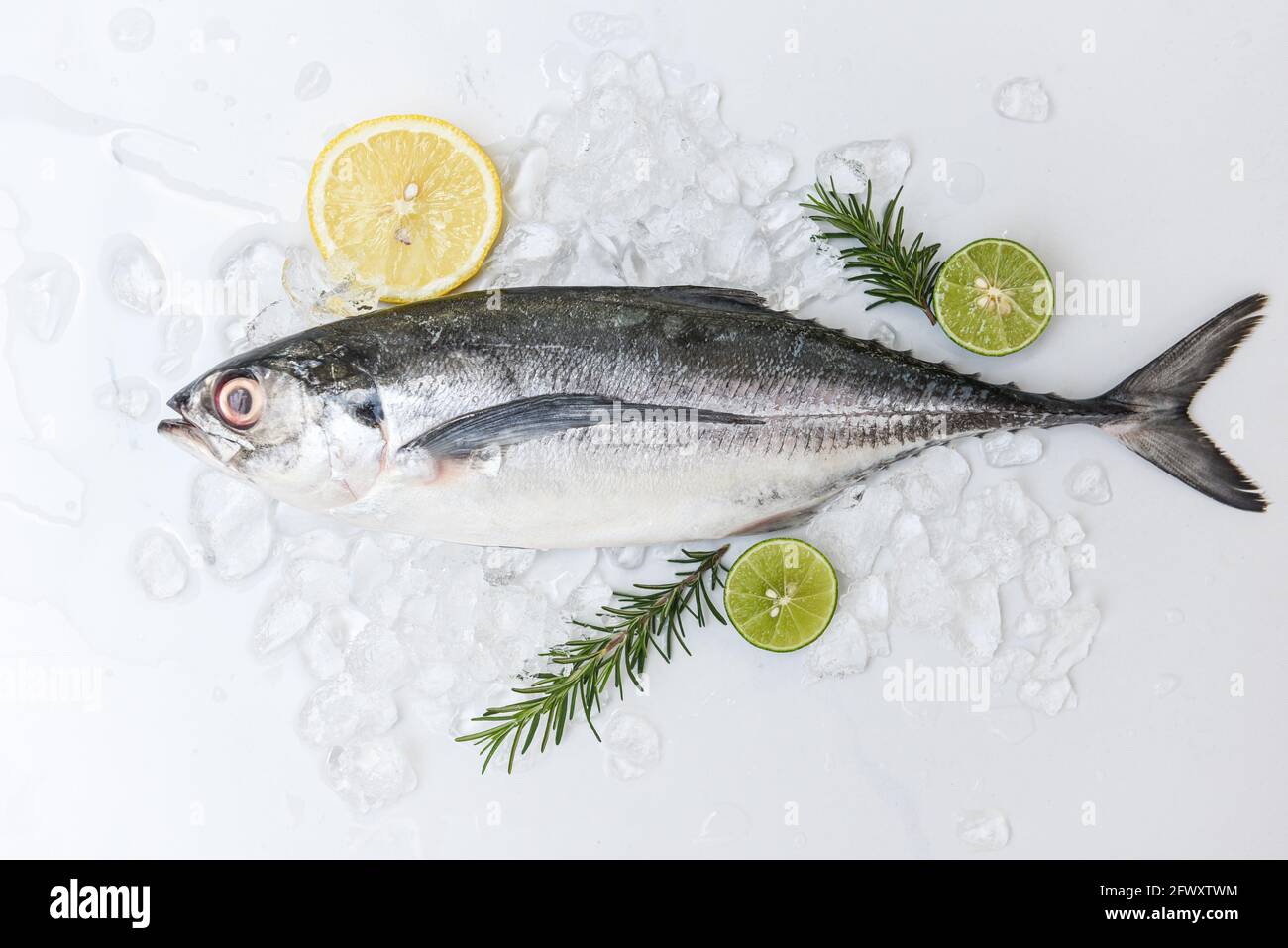 mackerel scad, Fish on ice for cooking food in the restaurant, Fresh ...
