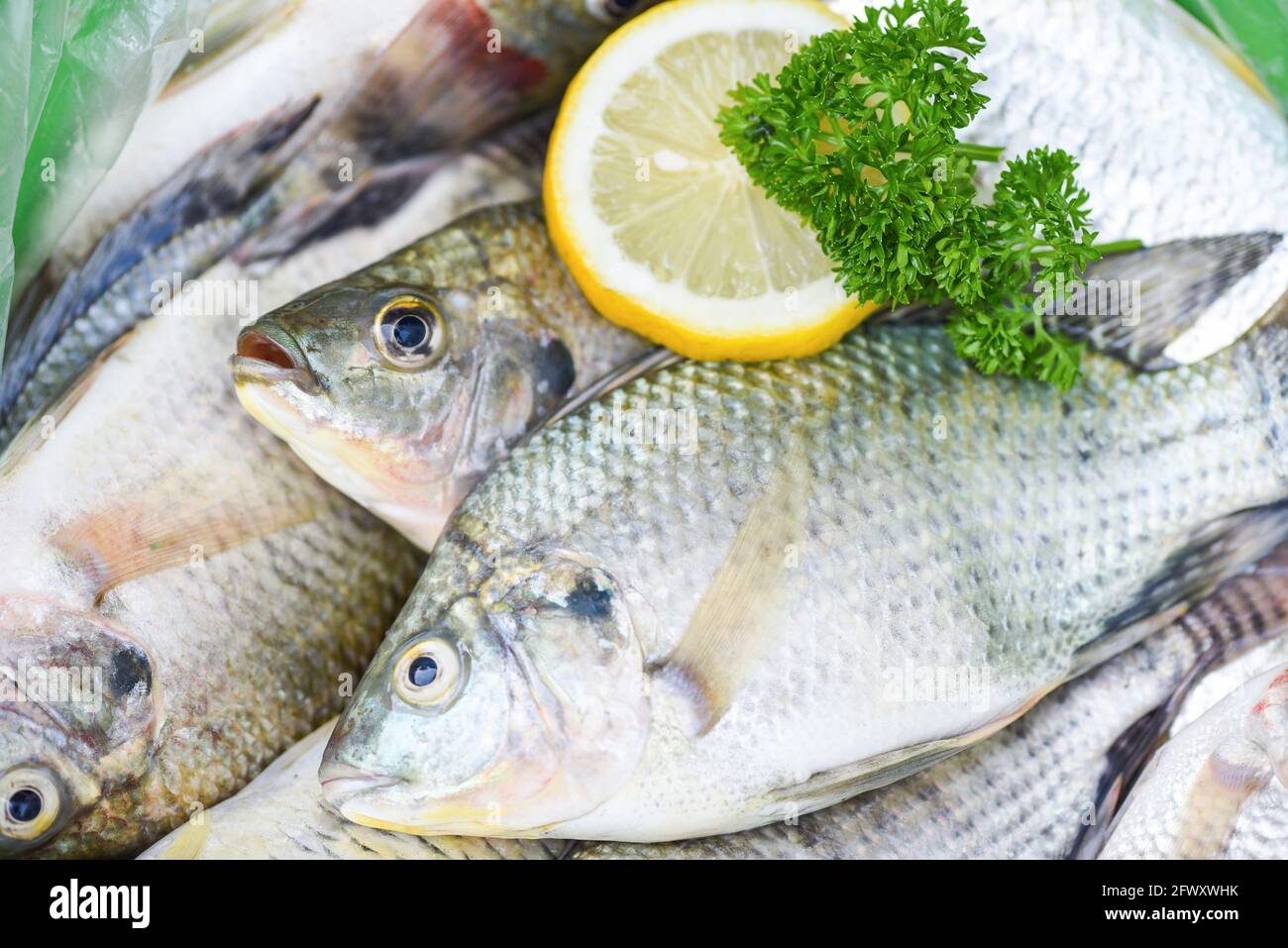 Fresh Tilapia fish freshwater for cooking food with parsley and lemon ...