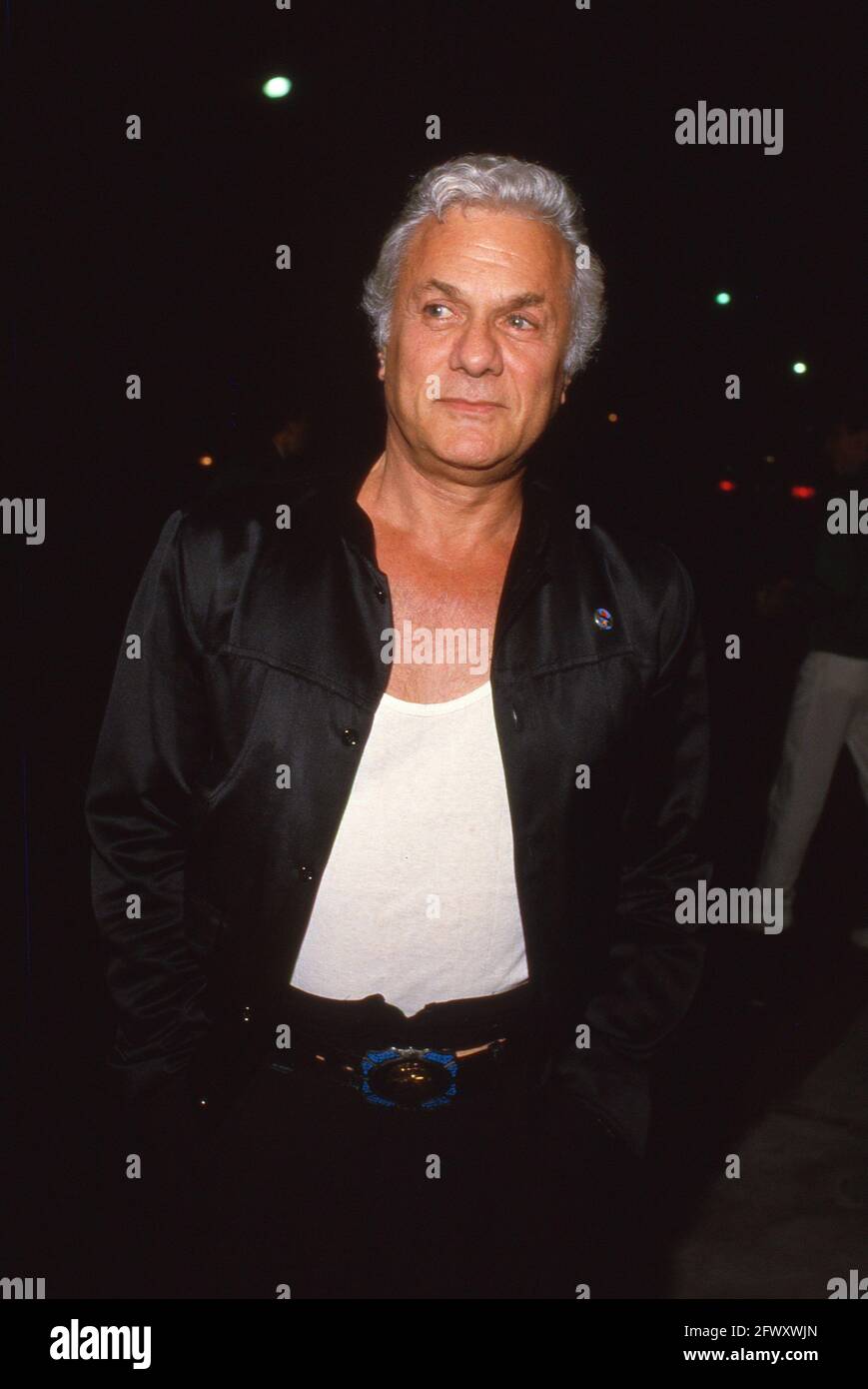 Tony Curtis Circa 1980's Credit: Ralph Dominguez/MediaPunch Stock Photo ...
