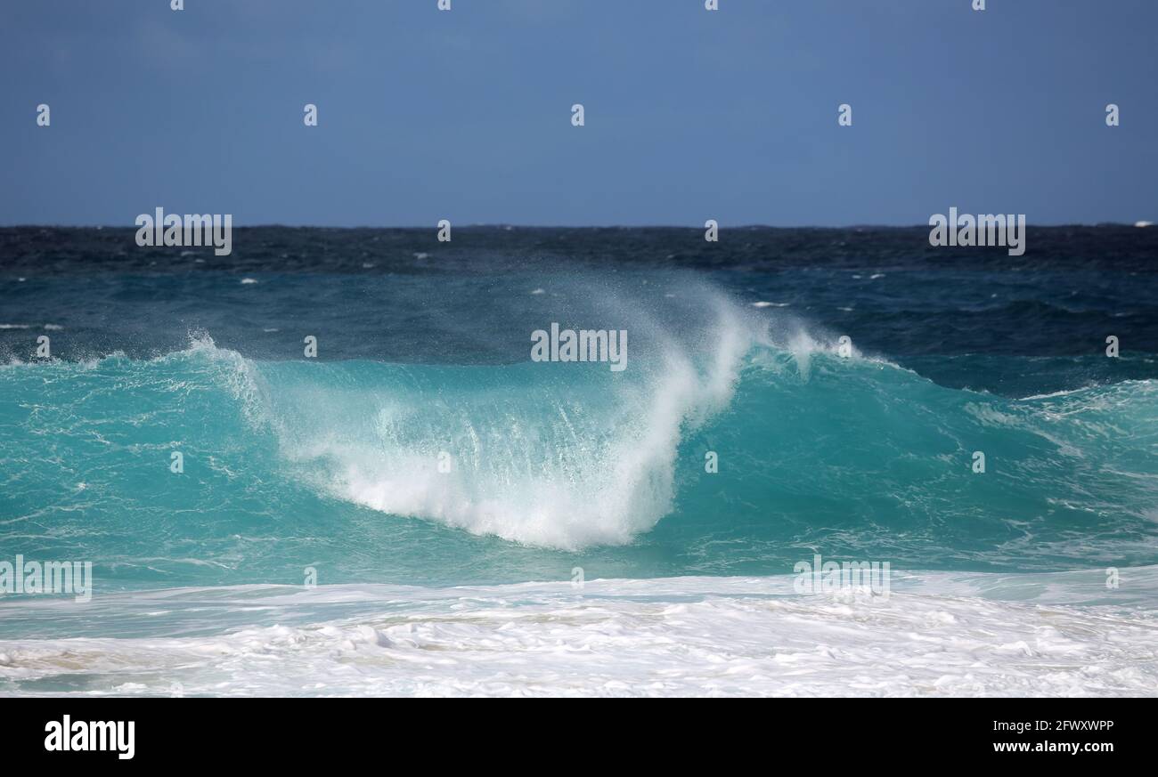 Pacific wave hi-res stock photography and images - Alamy