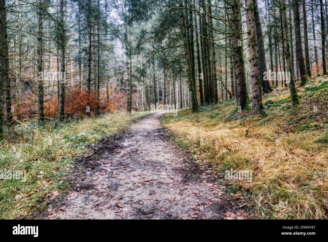 Pedestrian walkways hi-res stock photography and images - Alamy