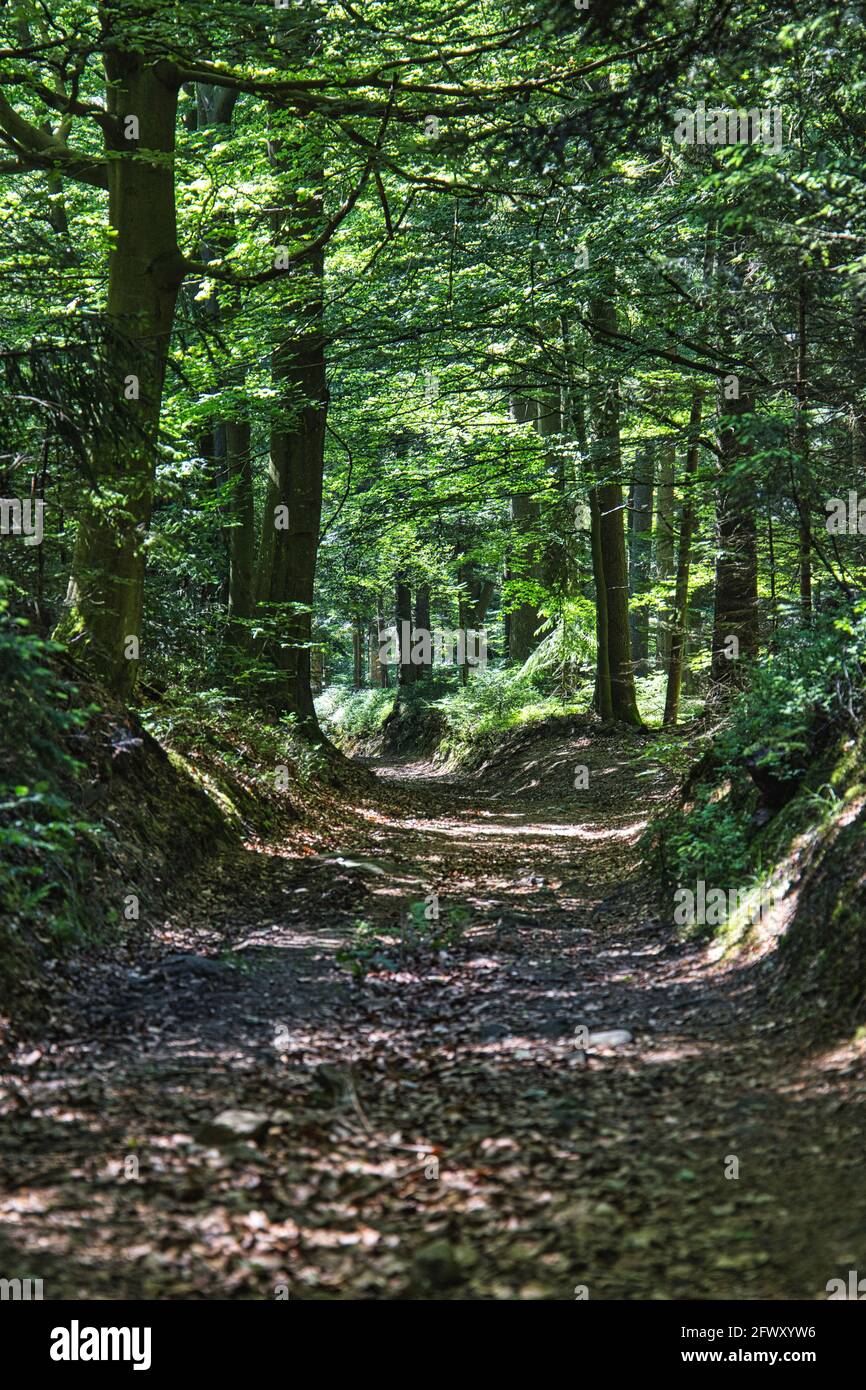 Pedestrian walkways hi-res stock photography and images - Alamy