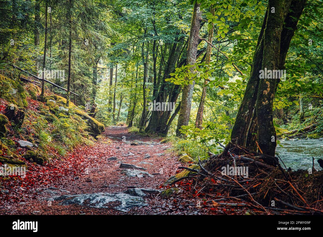 Pedestrian walkways hi-res stock photography and images - Alamy