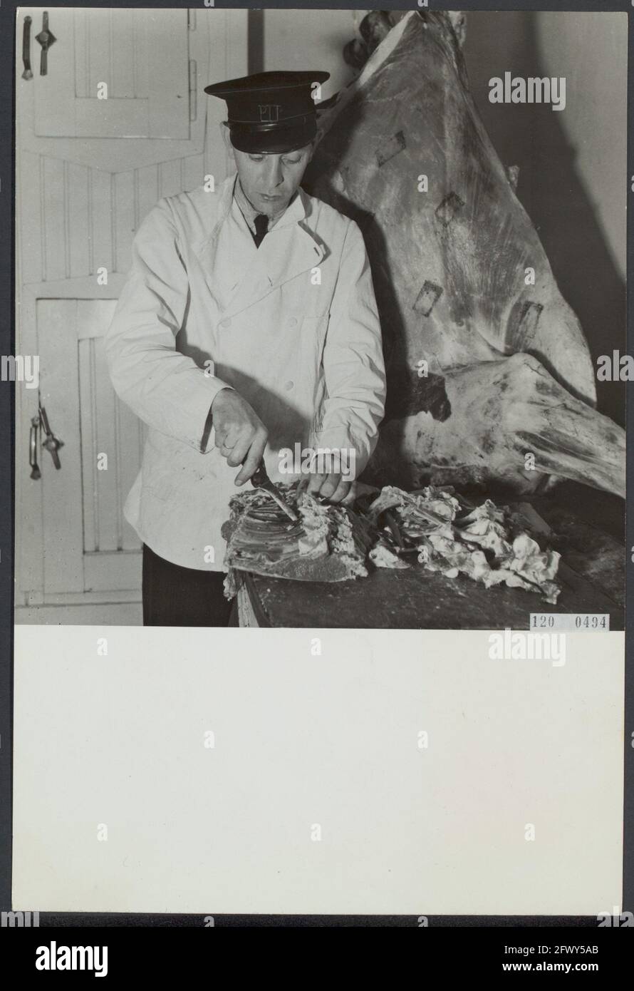 Butchers widow hi-res stock photography and images - Alamy