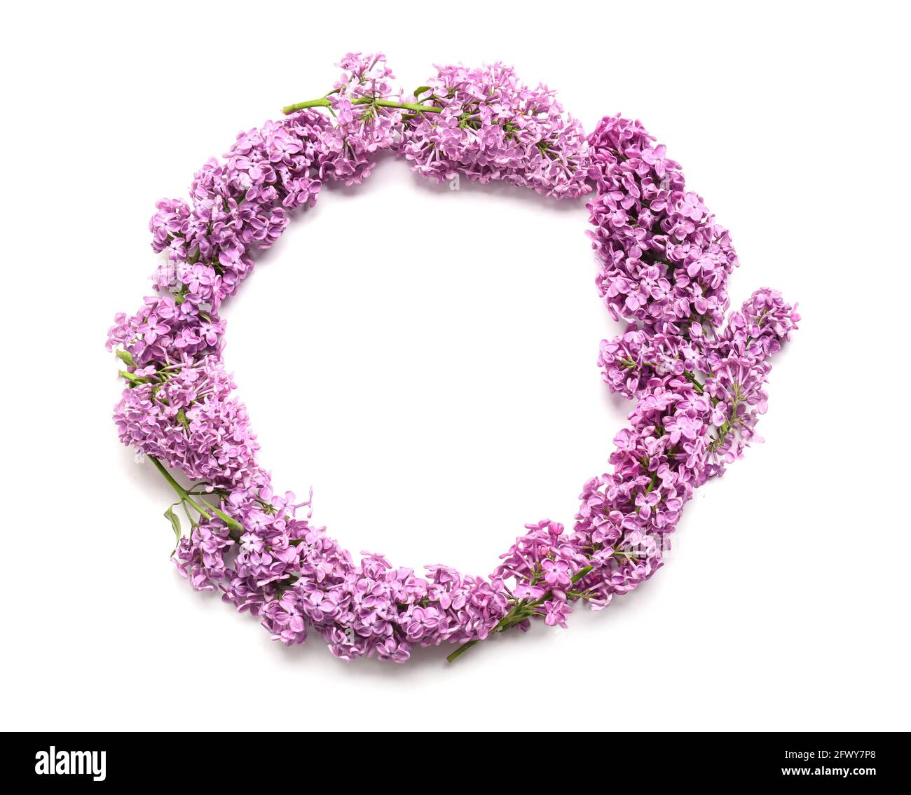 Frame made of beautiful lilac flowers on white background Stock Photo ...