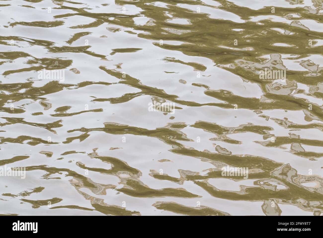 Dirty Water Texture