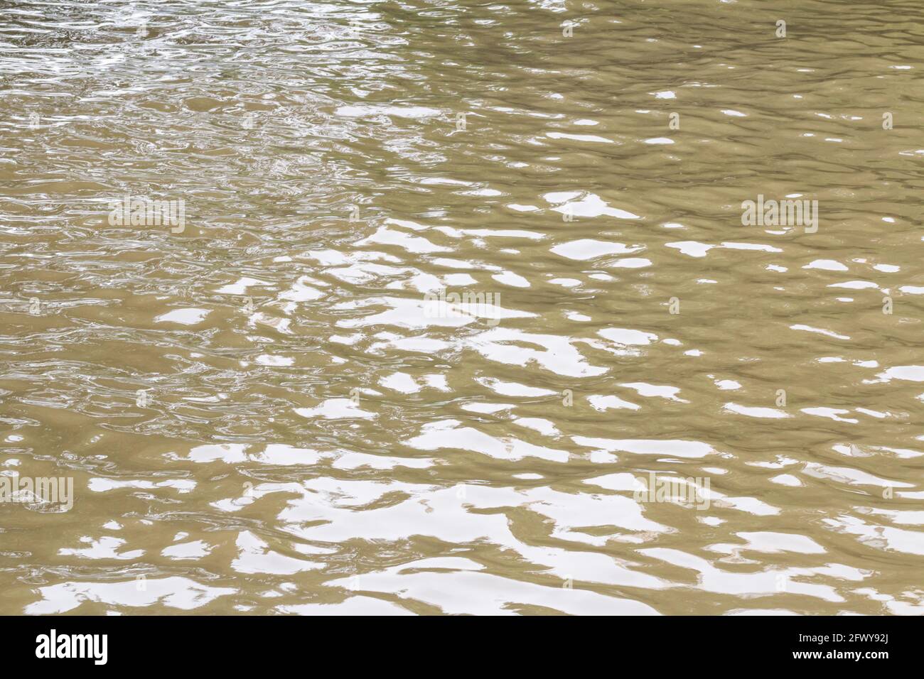 Dirty Water Texture