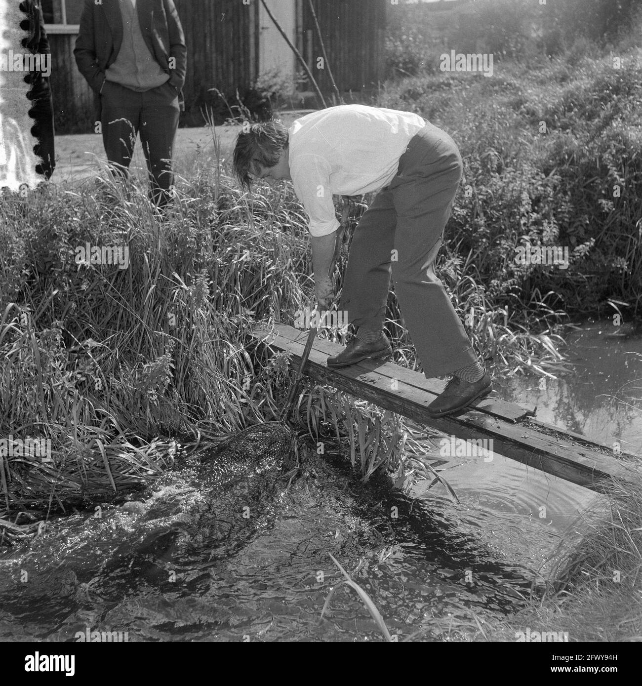 Radioactive frogs hi-res stock photography and images - Alamy