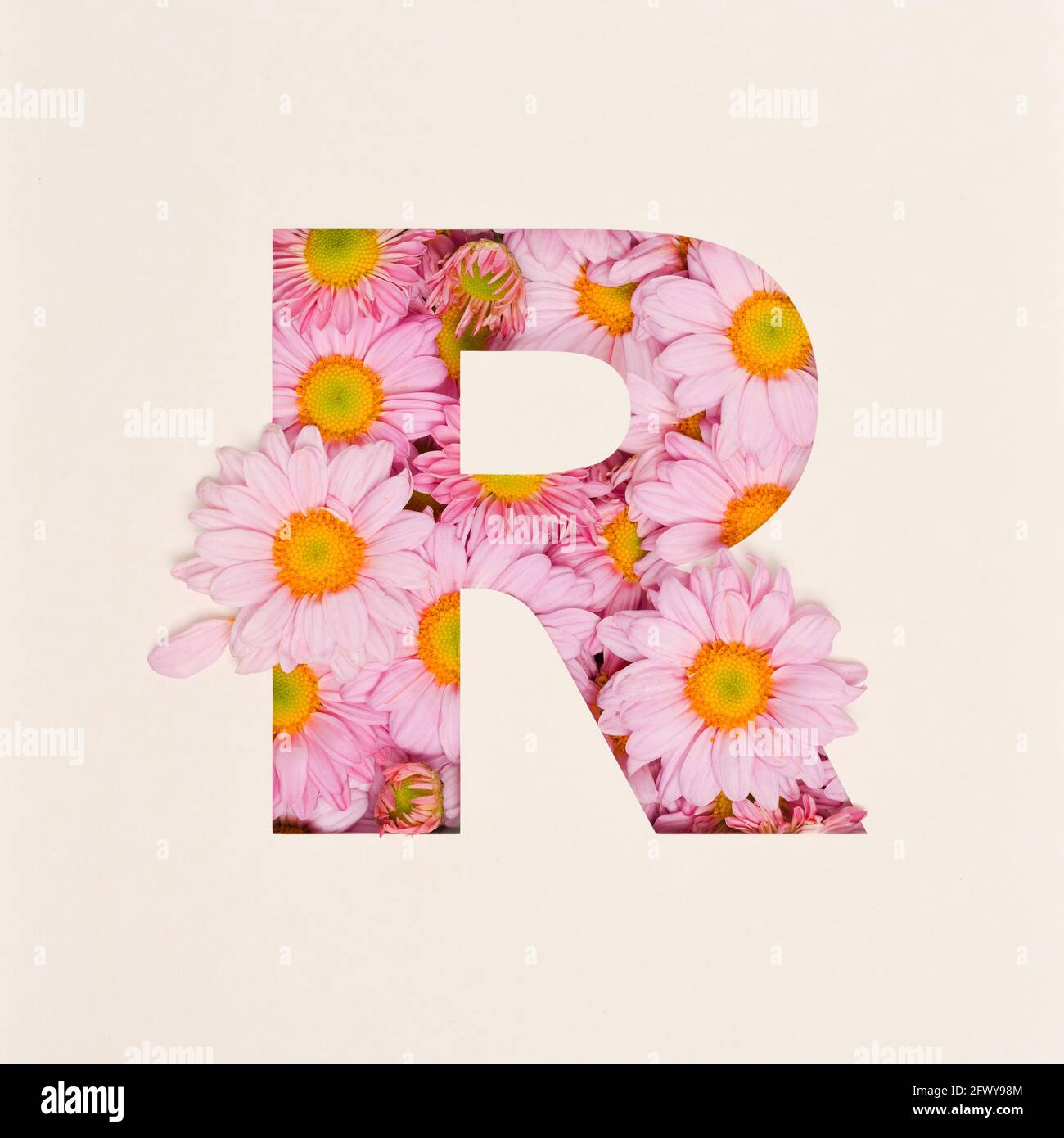 Font design, Abstract alphabet font with pink flower, realistic flower ...