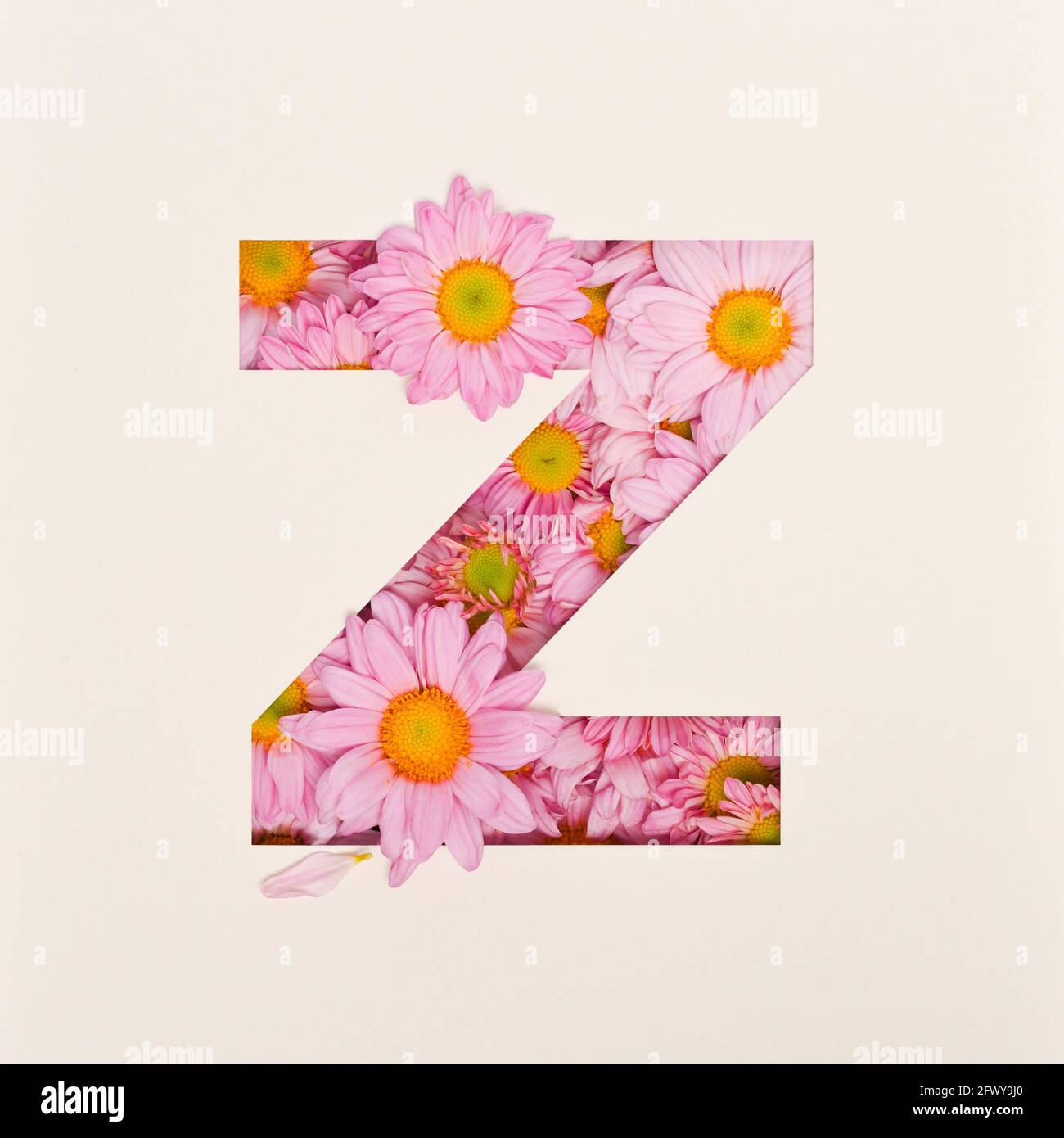 Font design, Abstract alphabet font with pink flower, realistic flower ...