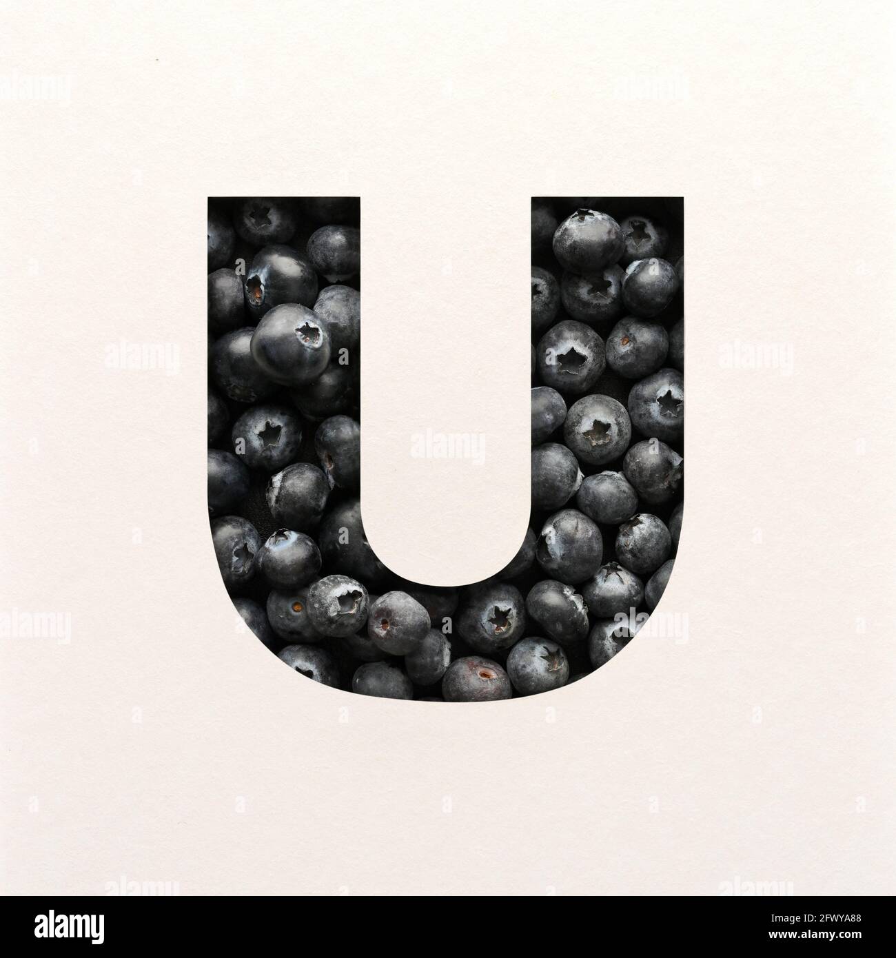 Font design, Abstract alphabet font with blueberry, realistic fruits ...