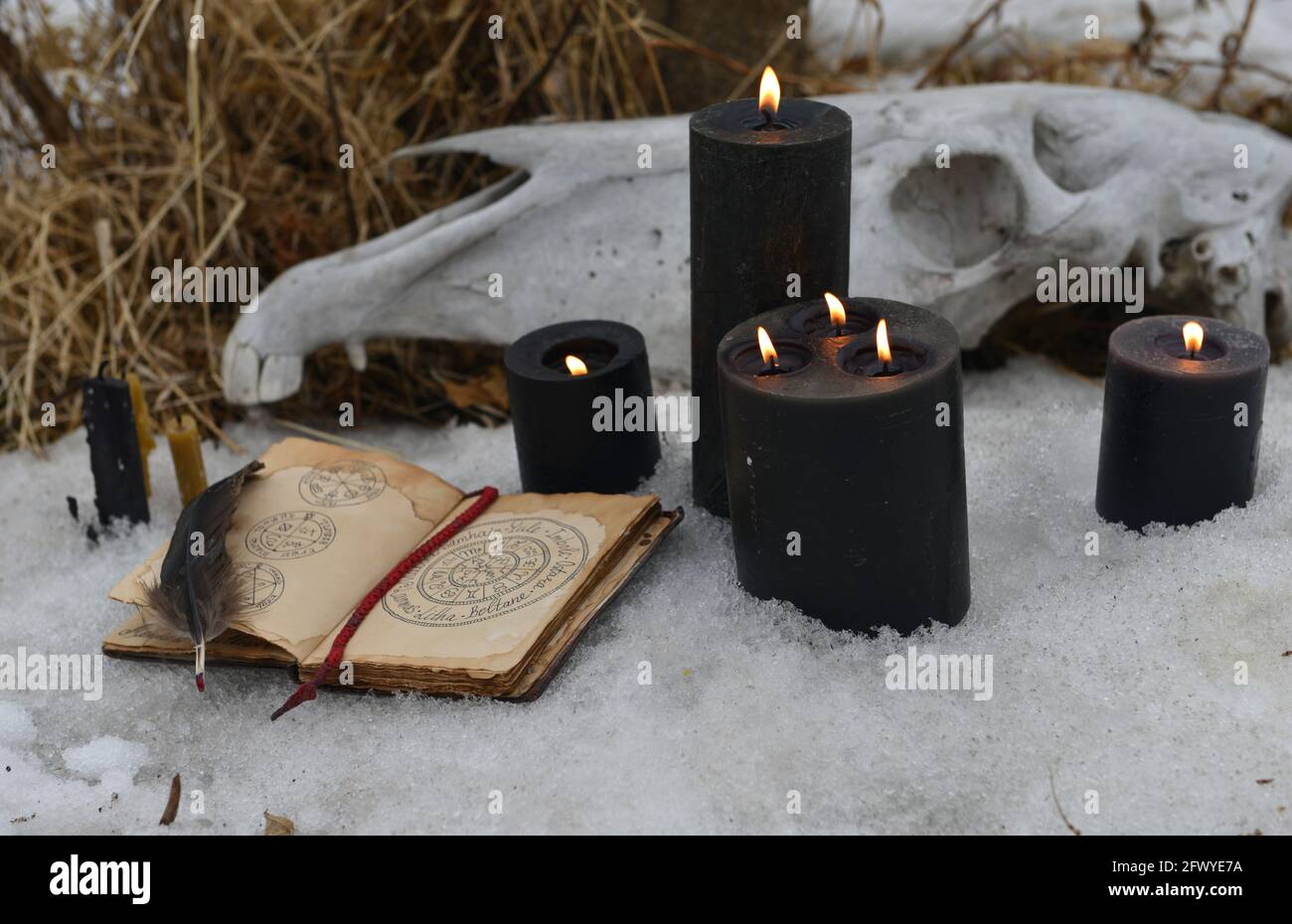 Horse skull, old witch book of spells, black candles outside in winter ...