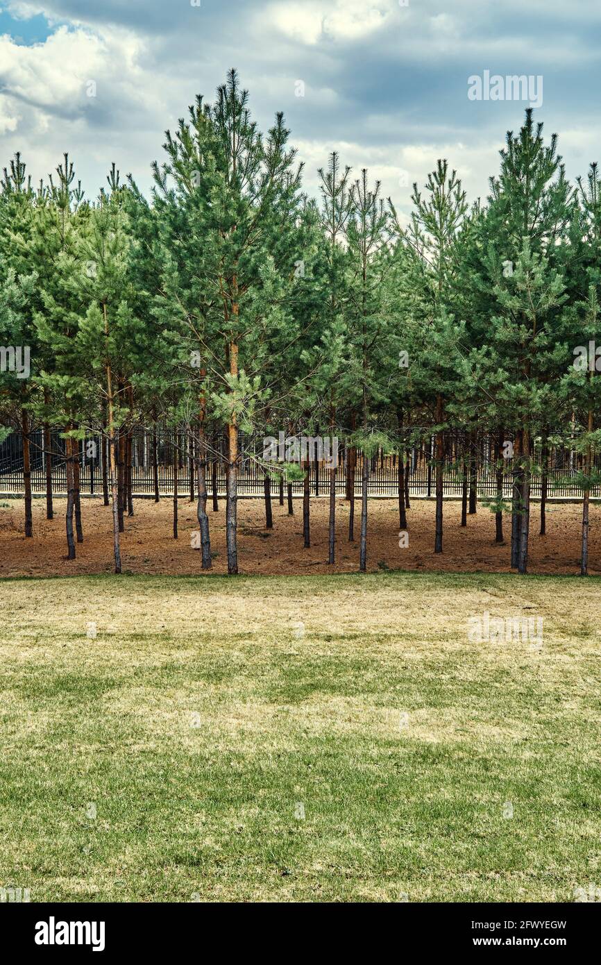 Artificial forest hi-res stock photography and images - Alamy