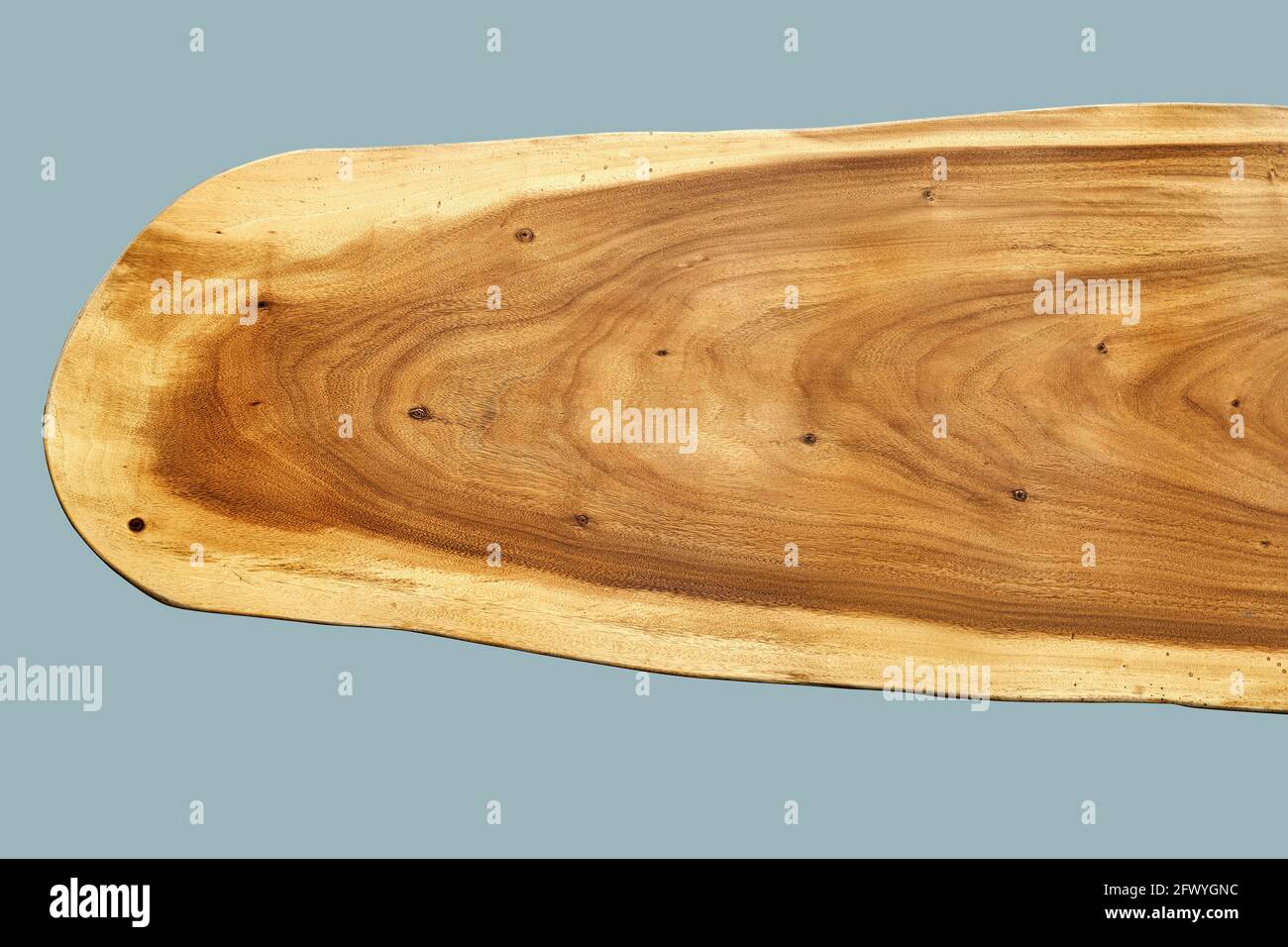 Fantastic texture of large lacquered live edge suar wood slab on blue ...