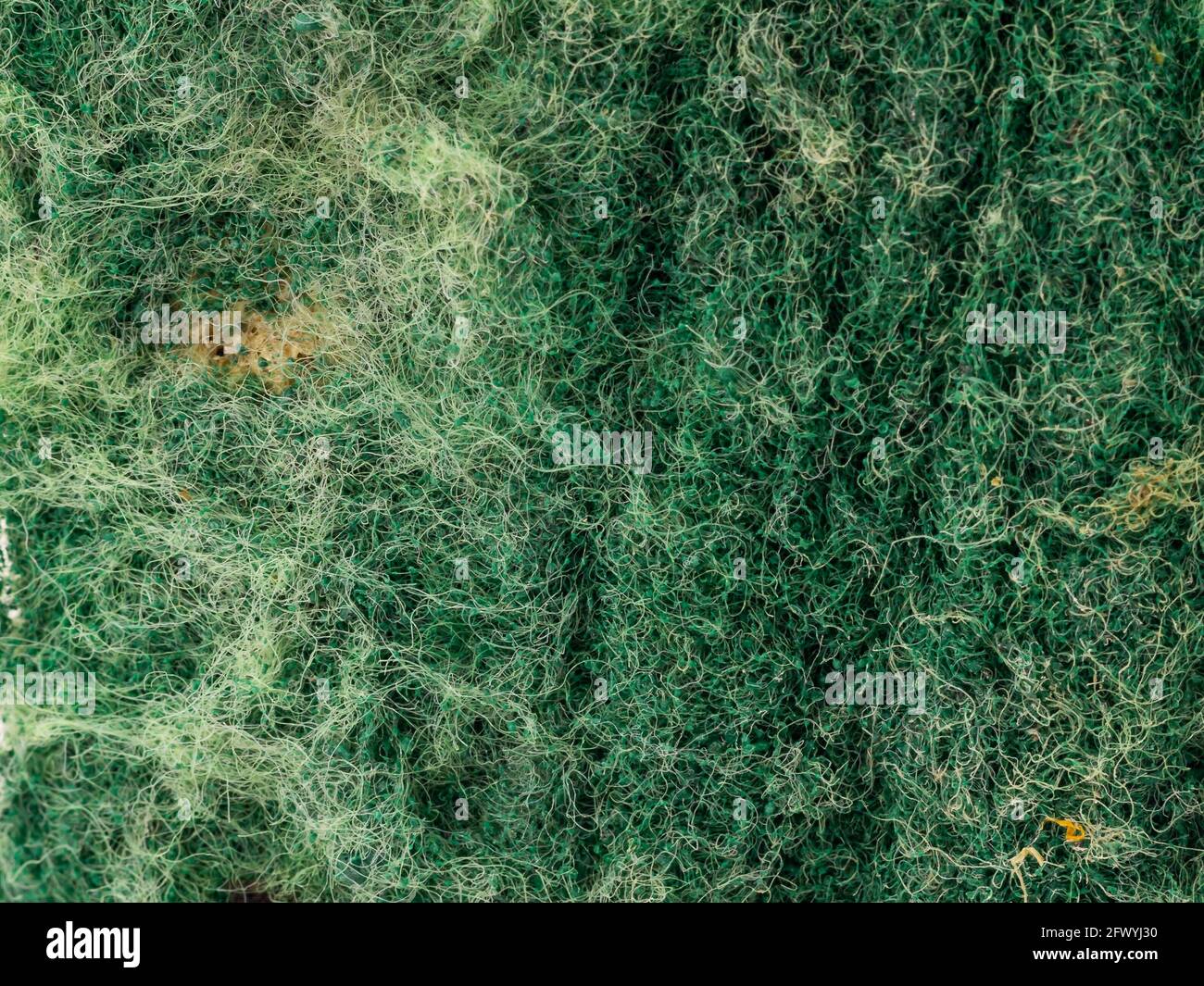 spongy material of a dish-washer sponge in a macro view Stock Photo - Alamy