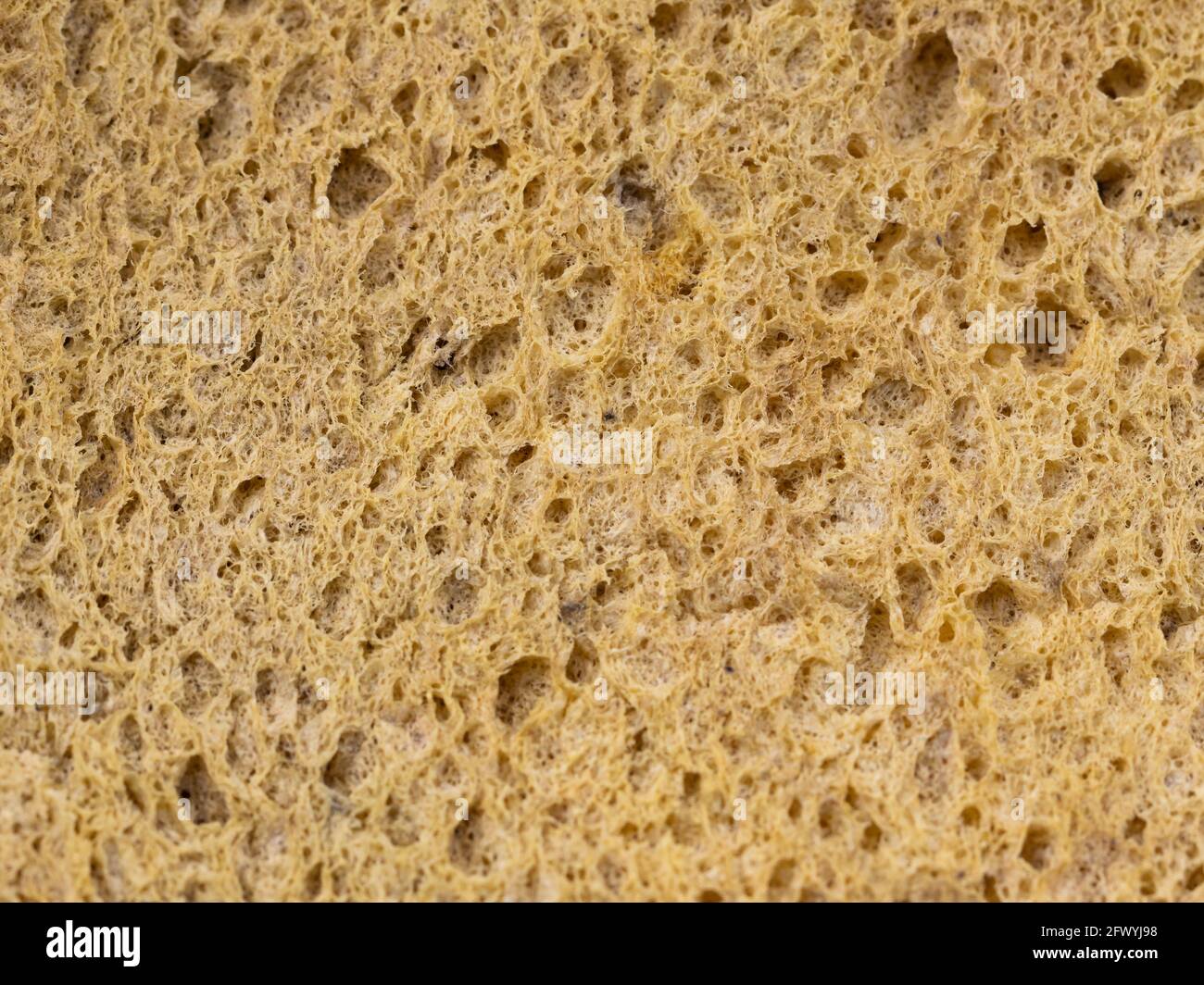 close-up view of yellow spongy material Stock Photo - Alamy