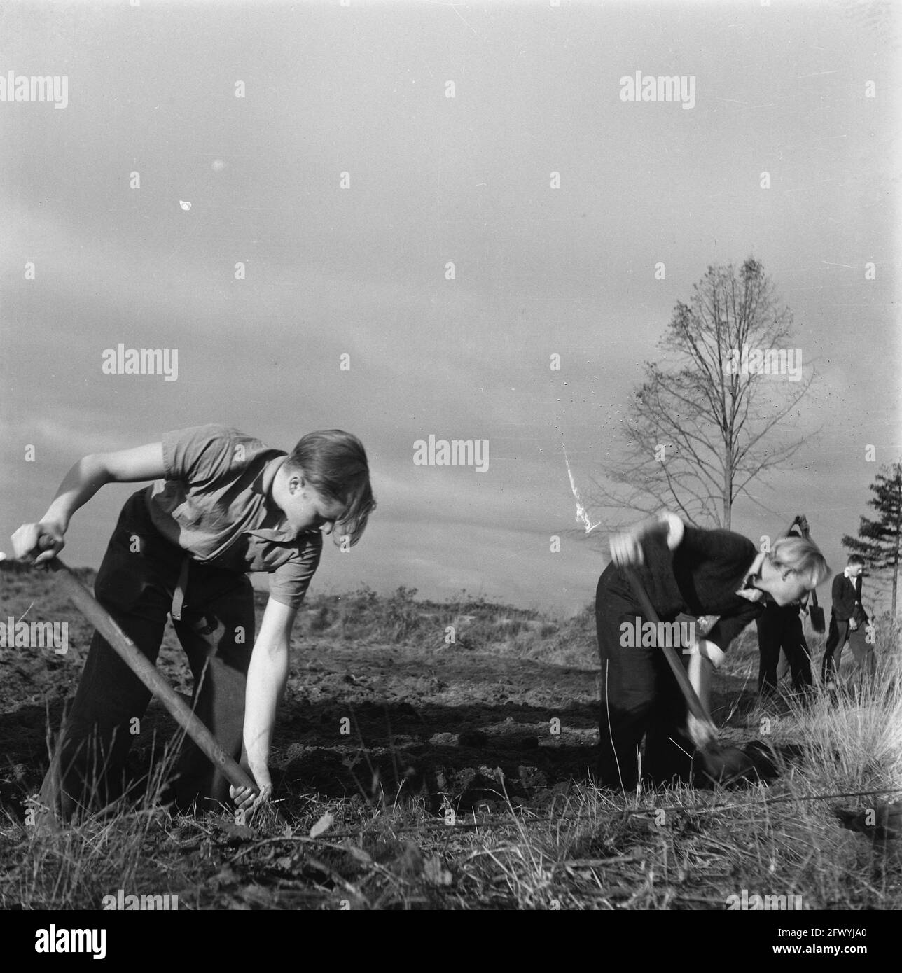 [Reportage of the work of the War Foster Children Foundation in the ...