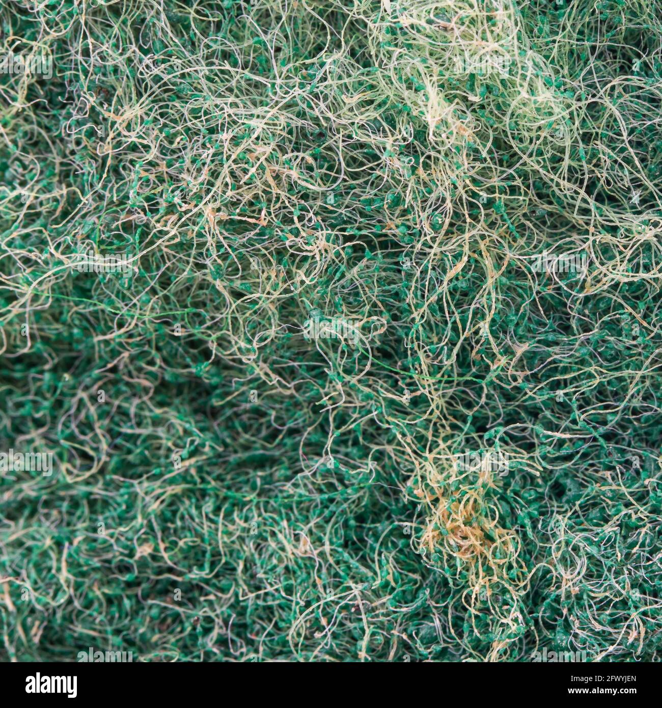 Spongy material image hi-res stock photography and images - Alamy