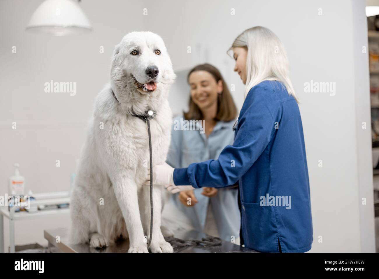 Vet table hi-res stock photography and images - Alamy