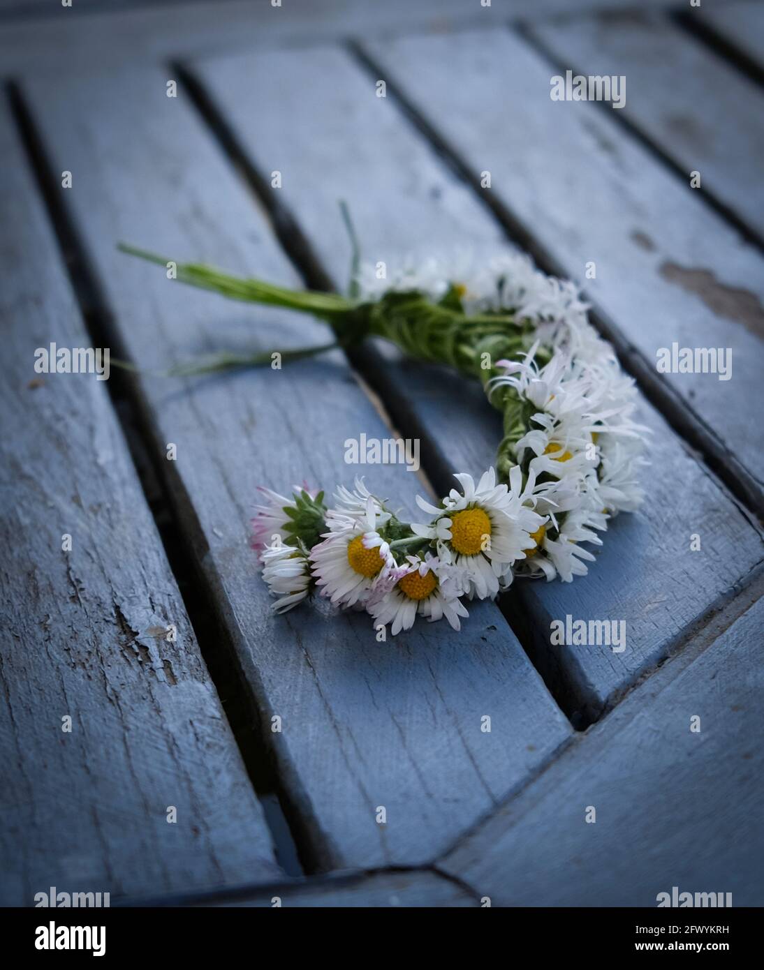 Daisy chain hi-res stock photography and images - Alamy