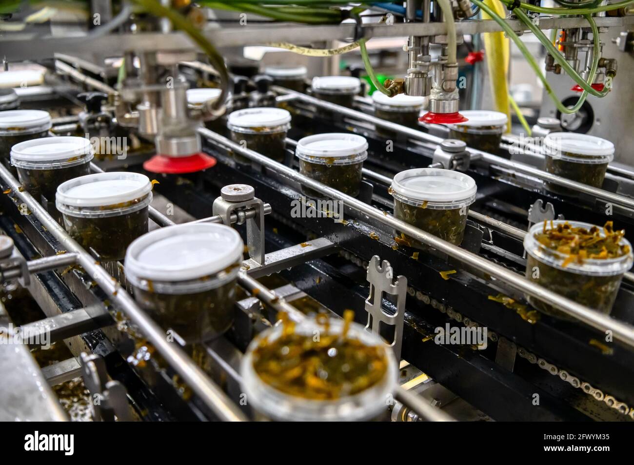 Automatic line for packing seafood. Seaweed is packed in plastic jars ...