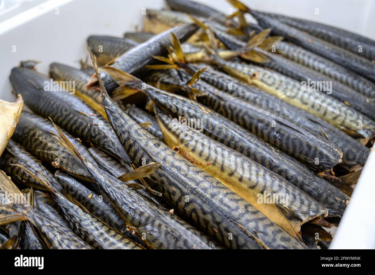 Fresh fish in plastic box hi-res stock photography and images - Alamy