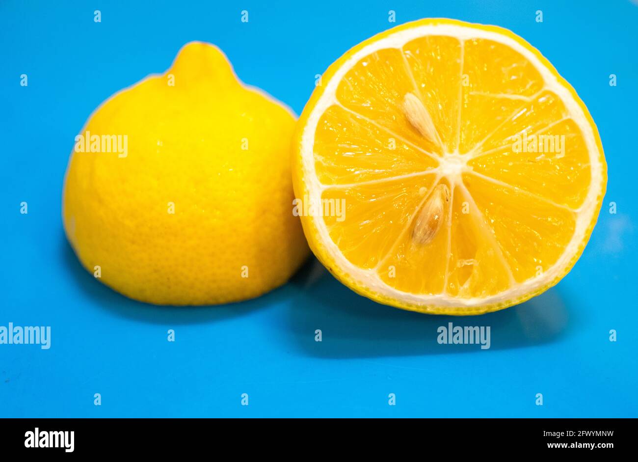 yellow half cut lemon on the bright blue background Stock Photo - Alamy