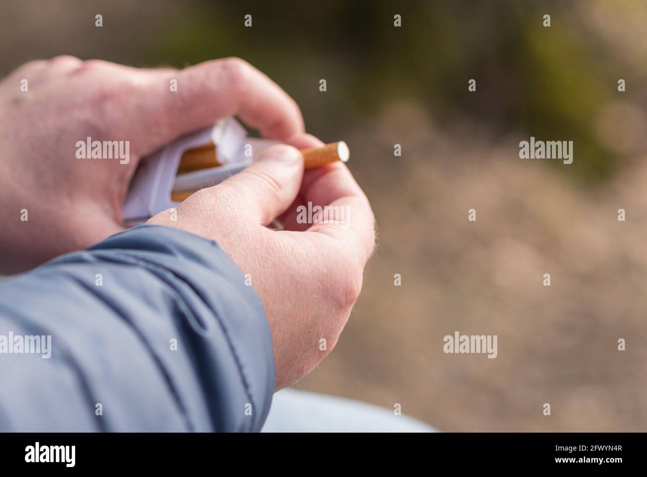 closeup person's hand pick a cigarette from the carton cigarettes pack ...