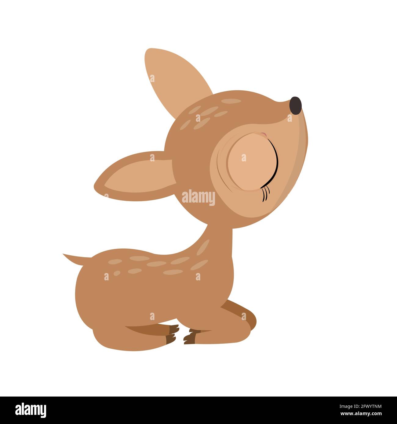 A little baby fawn without horns. Isolated object on a white background ...