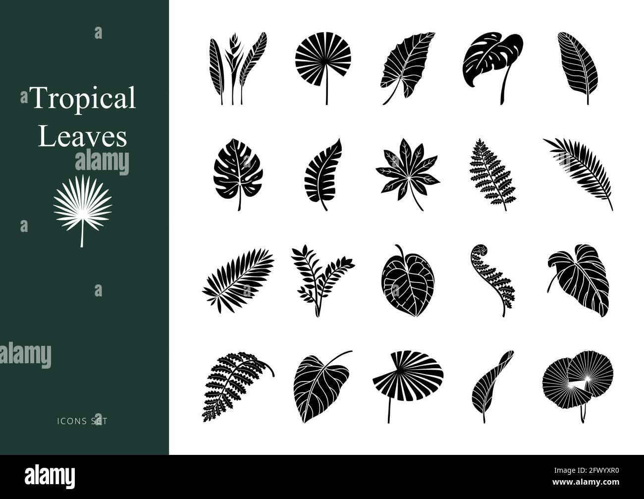 Jungle plant icons Stock Vector Images - Alamy
