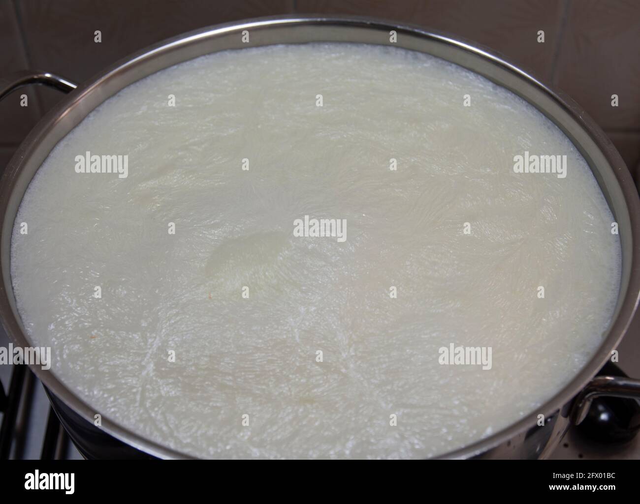 To make yogurt, we first boil the milk. selective focus milk surface ...
