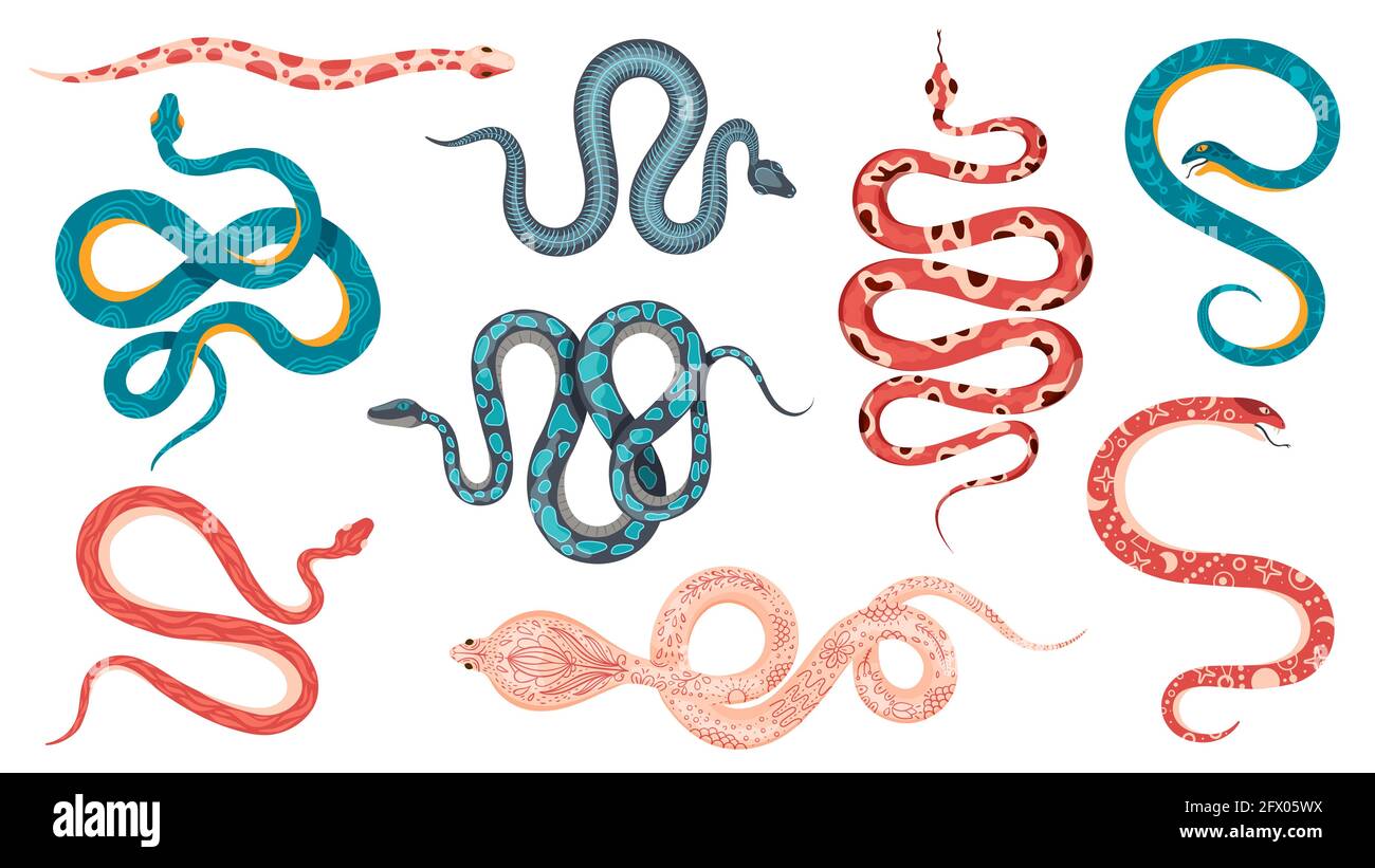 Mystic snakes. Boho magic poisonous snake with astrology symbols ...