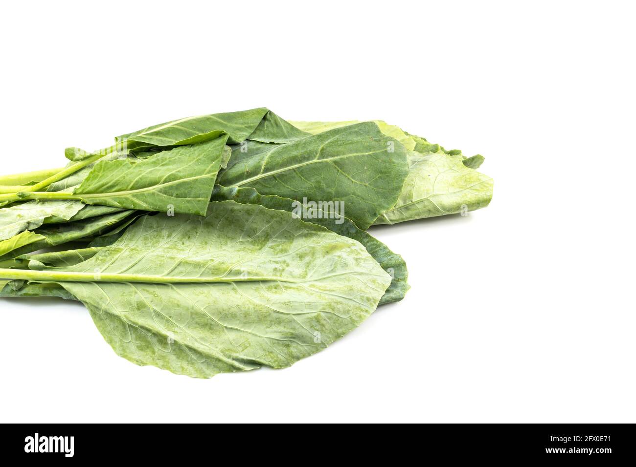Fresh Green kale on a white background Stock Photo - Alamy