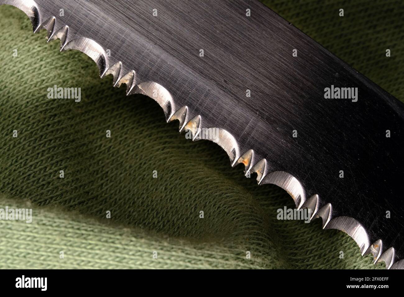 Serrated knives, with their scalloped, toothlike edge, are ideal for ...