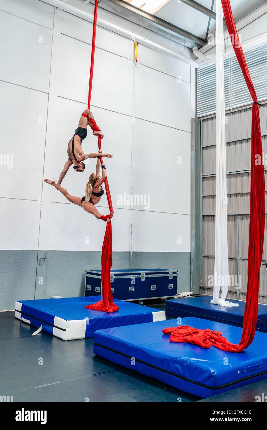 Full length sporty strong Woman performing split on aerial silks and ...