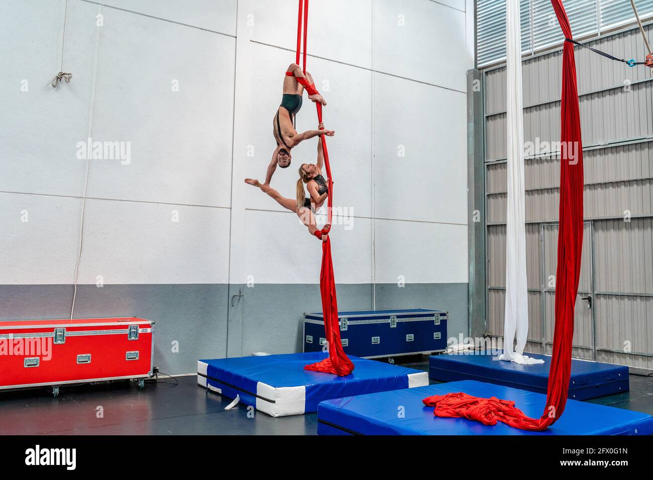 Full length sporty strong Woman performing split on aerial silks and ...