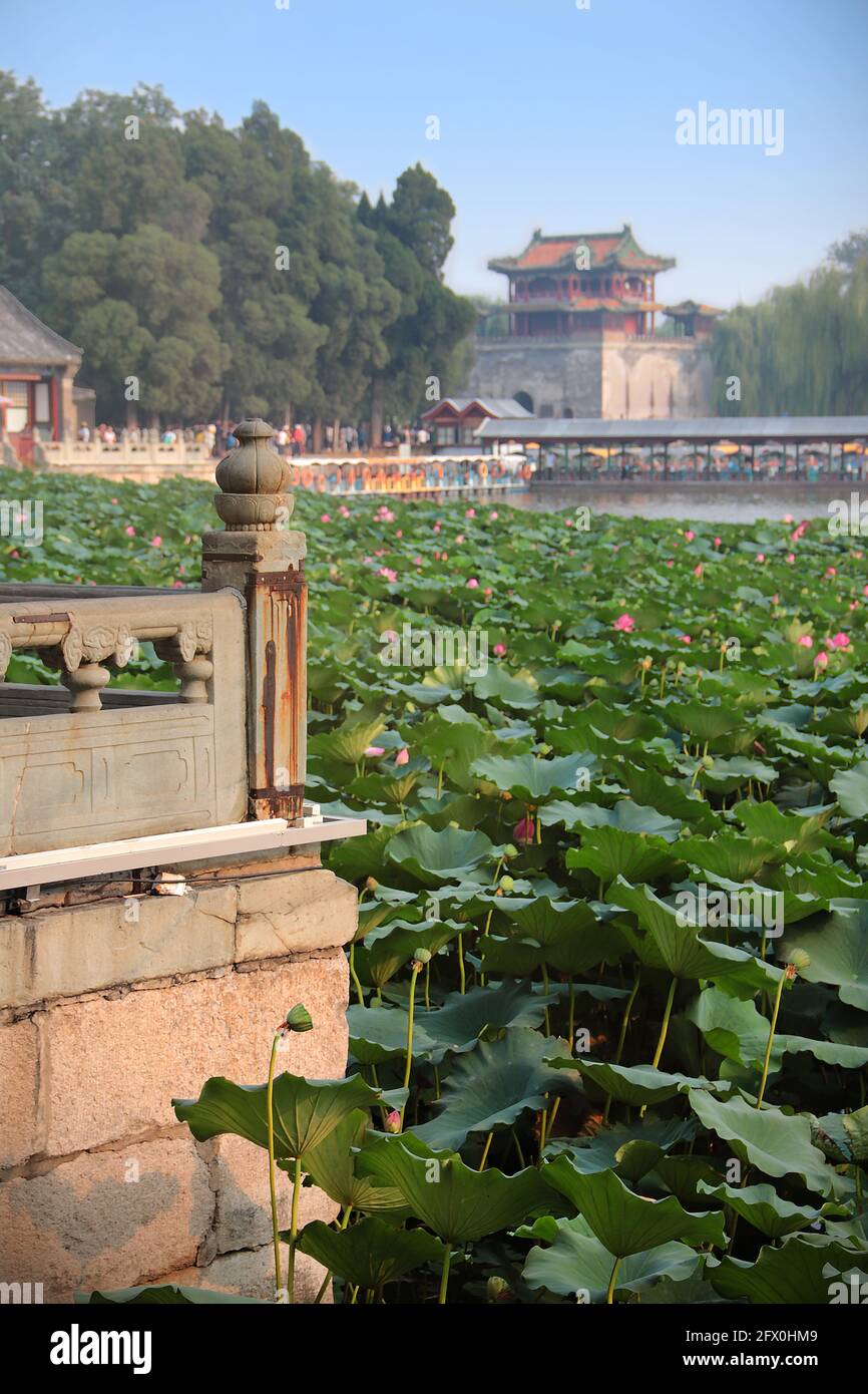 Temple at lake Stock Photo - Alamy
