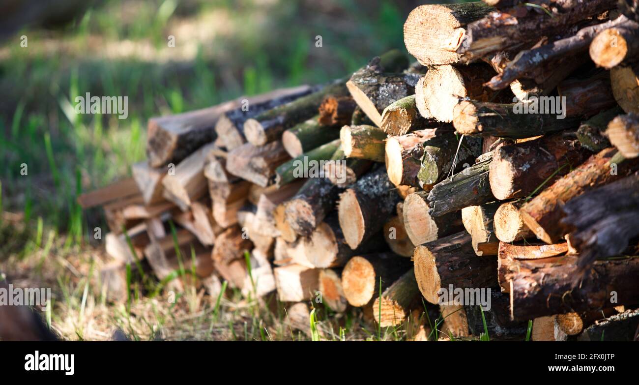 Chopped and sawn firewood on the grass with the glare of the sun ...