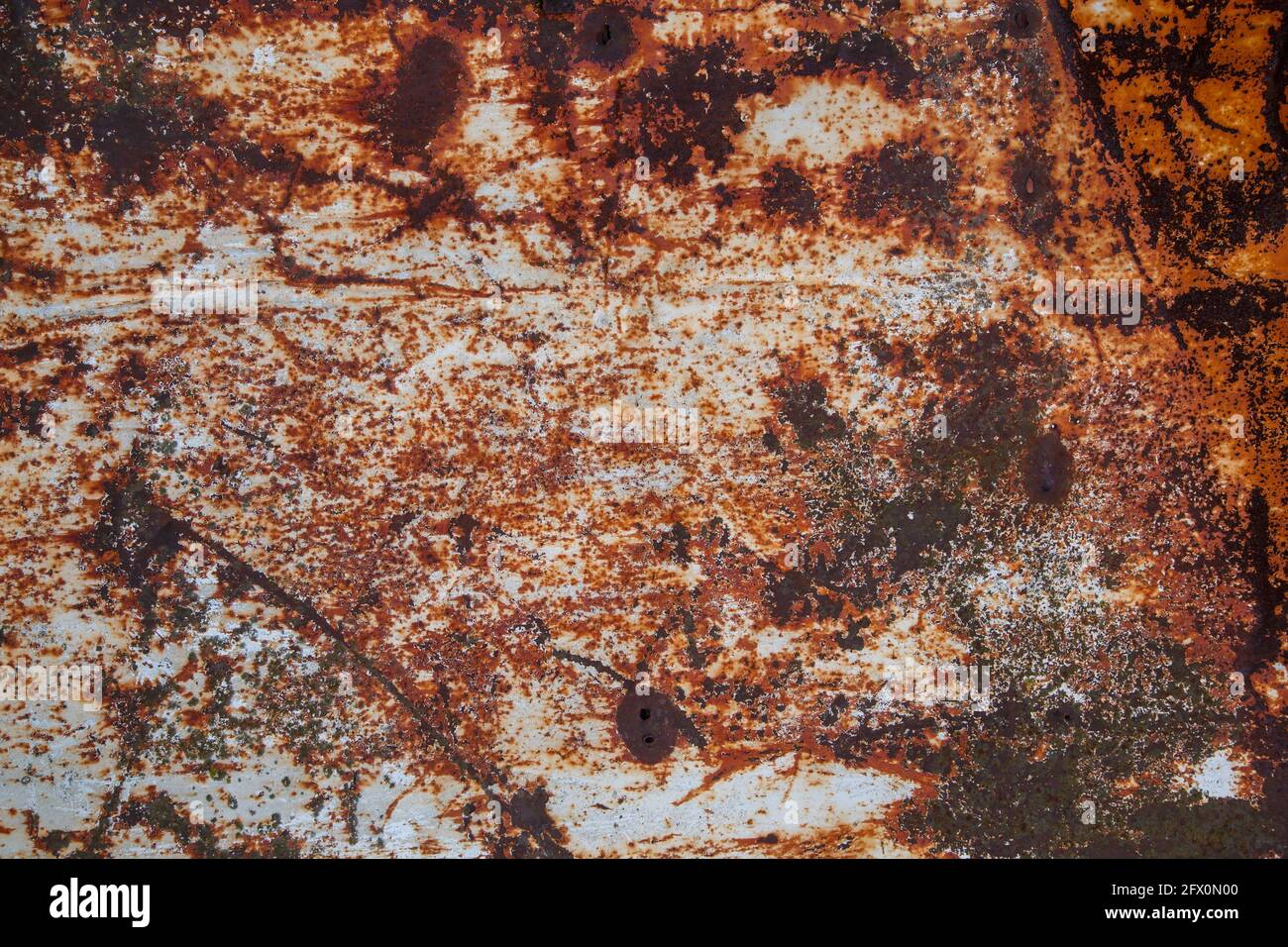 rusted flat solid sheet metal background and texture with leftovers of ...