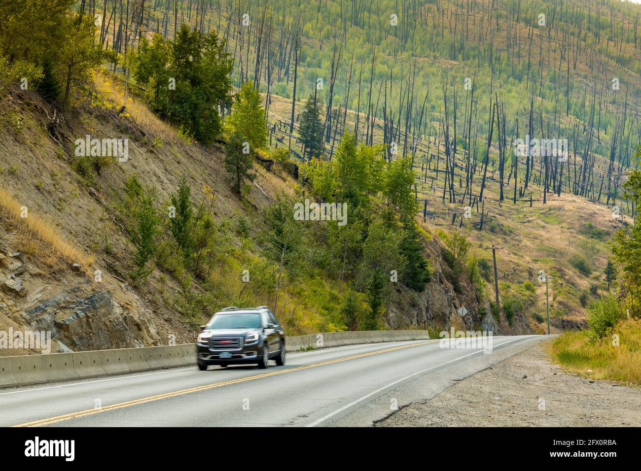 View of barron land following recent fire near Kamloops, British ...