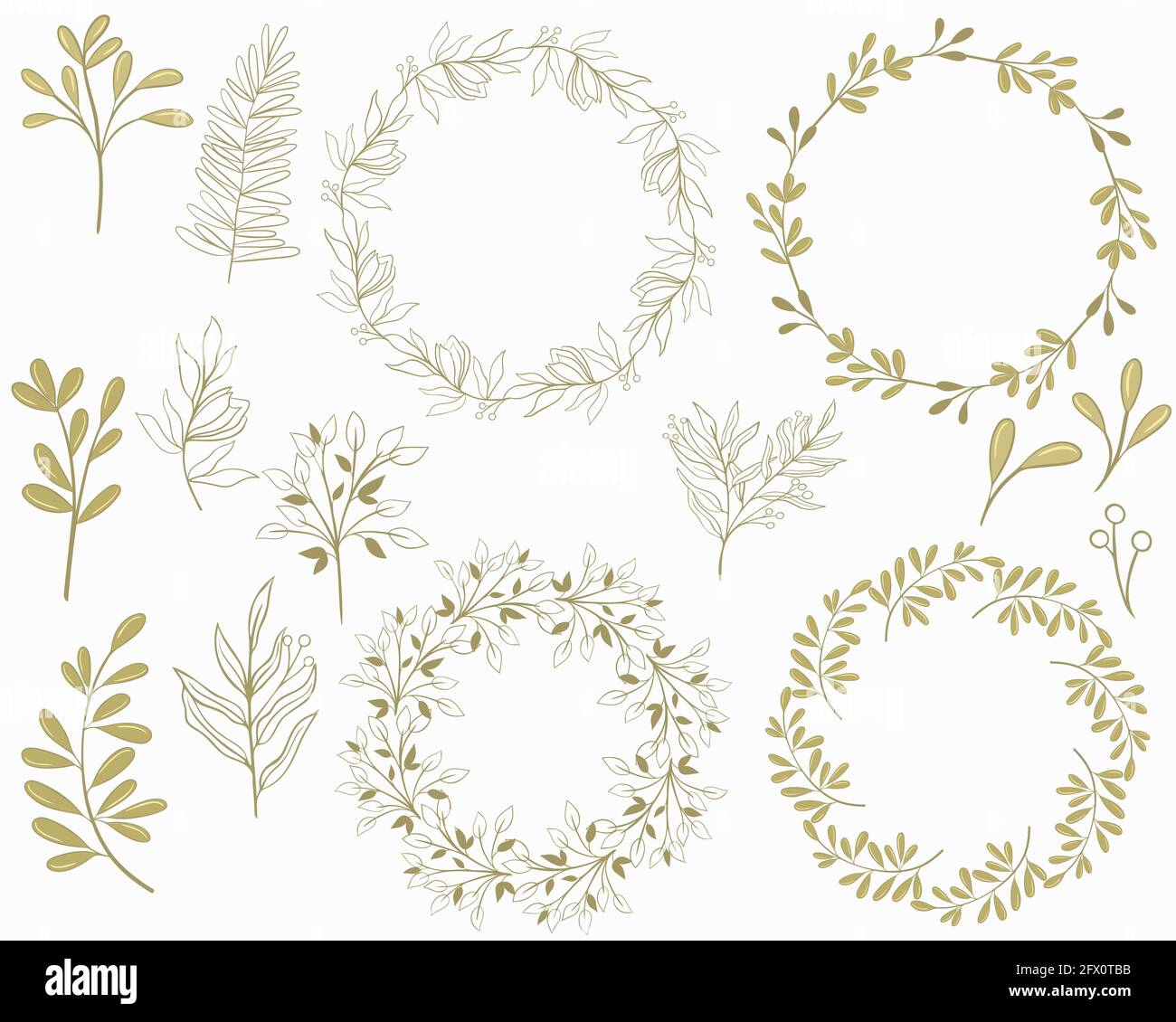 Set of botanical elements and round frames, vector. Individual elements ...