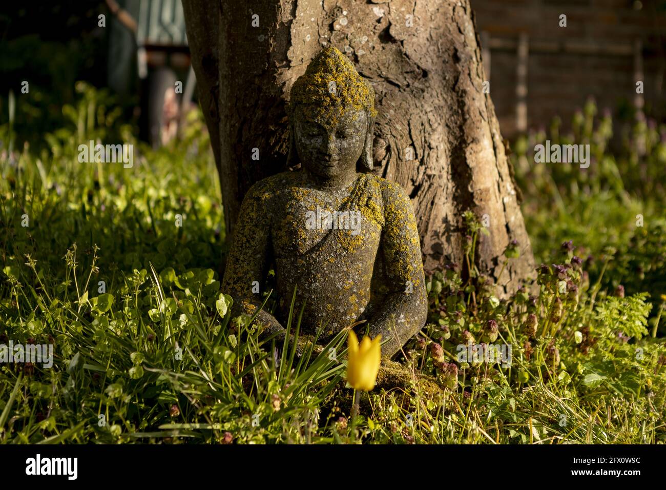 Spiritual and peaceful mindful concept Stock Photo - Alamy