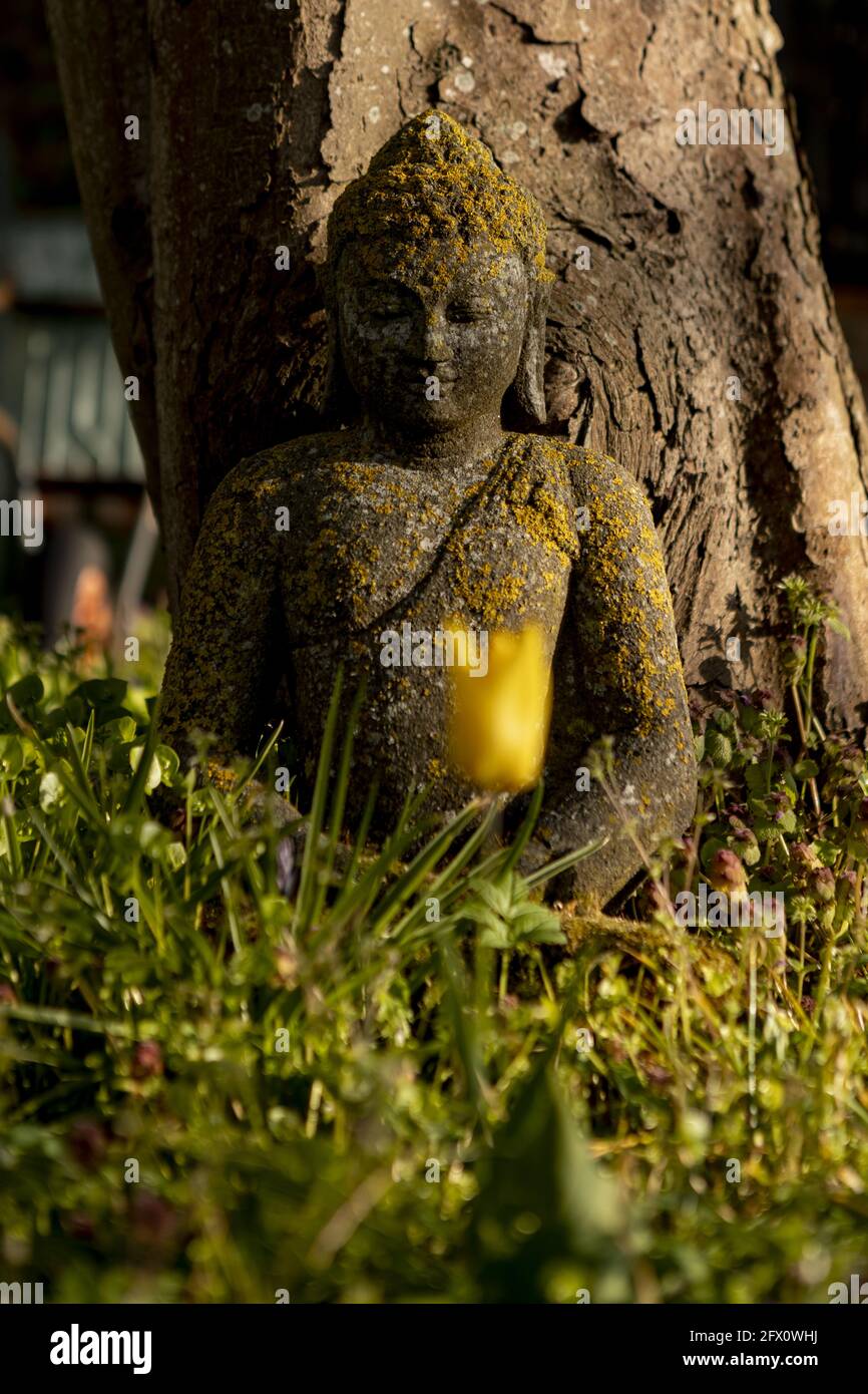 Spiritual and peaceful mindful concept Stock Photo - Alamy