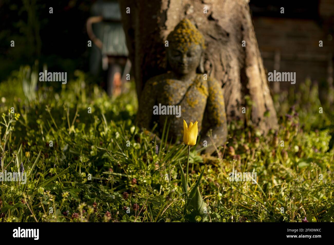 Spiritual and peaceful mindful concept Stock Photo - Alamy