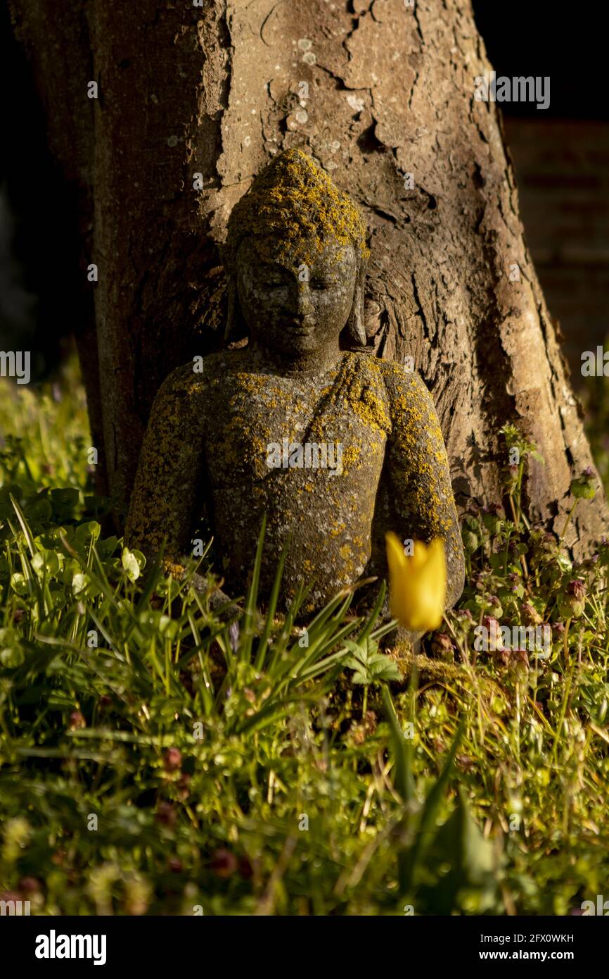 Spiritual and peaceful mindful concept Stock Photo - Alamy