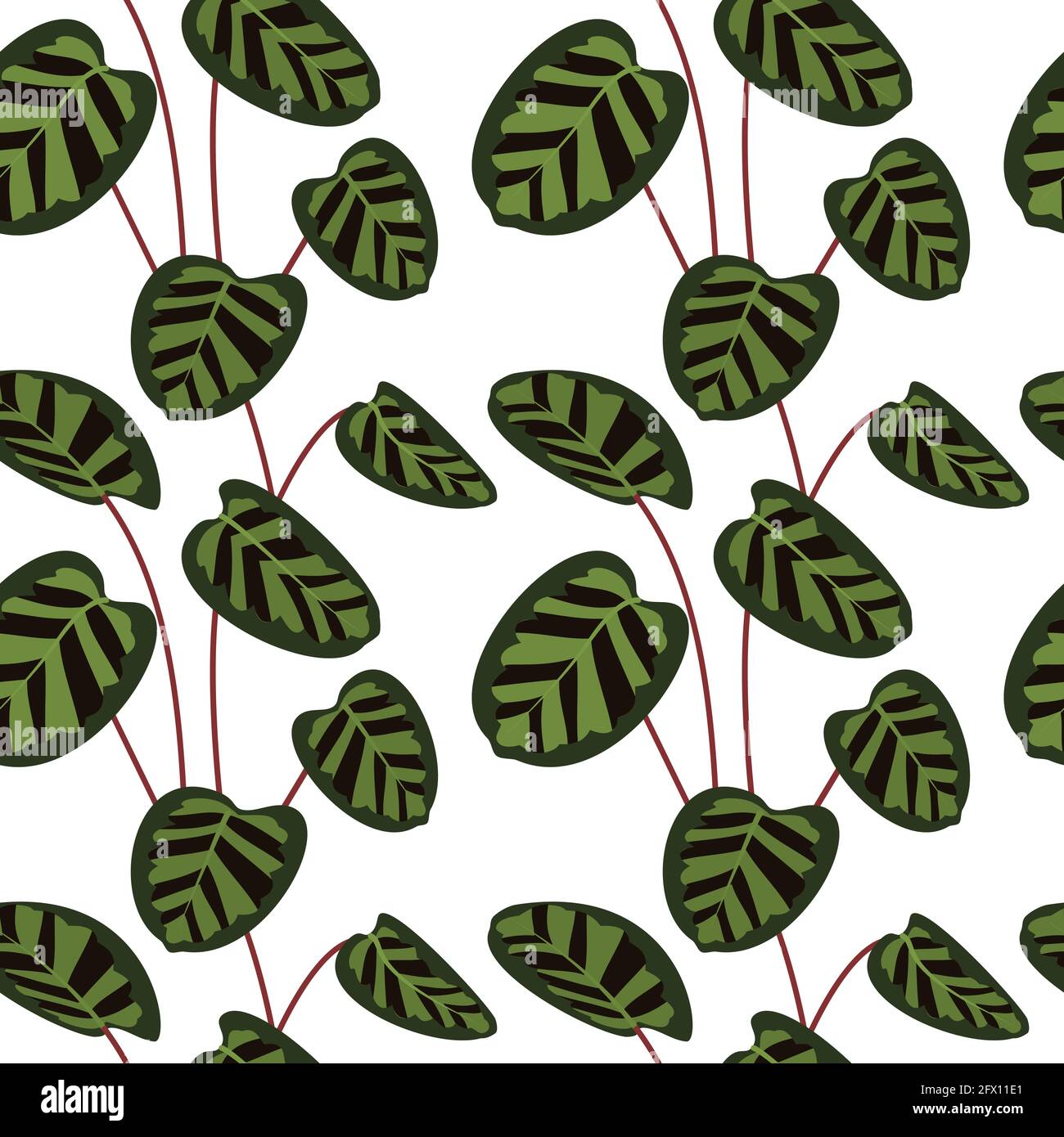 Simple minimal green calathea leaves tropical seamless pattern. White ...