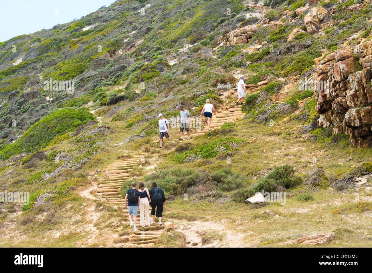 hiking at Cape Point nature reserve, people ascending and descending ...